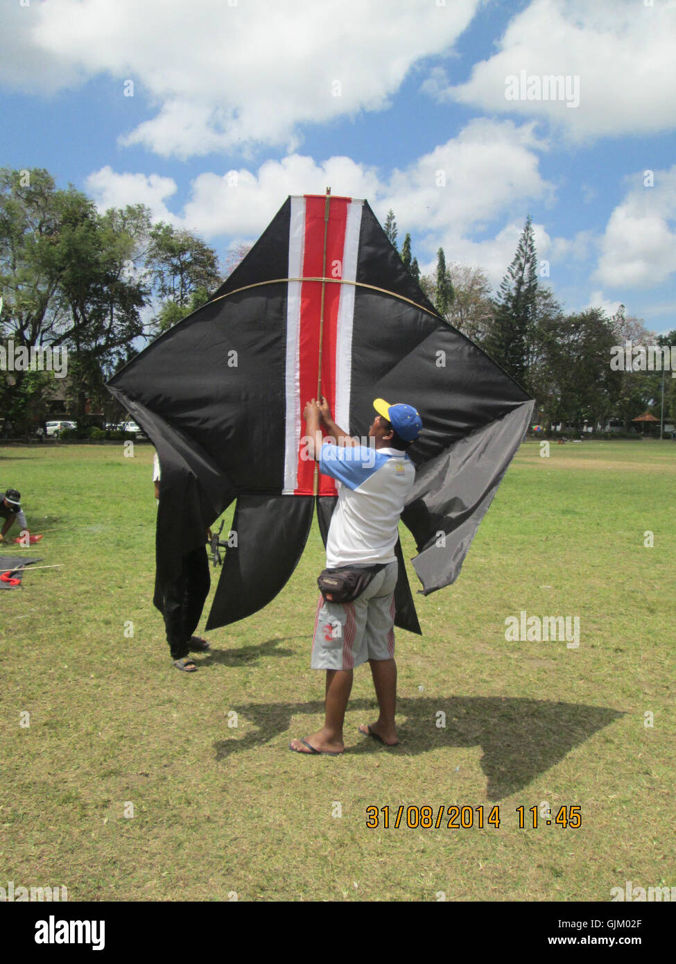 This is an image of a seven-foot-tall nylon kite in flight. Kites of ...