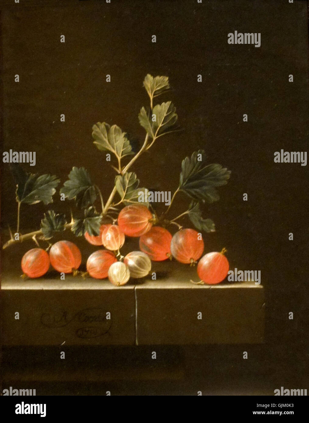 'Gooseberries on a Table' is a still life painting by Adriaen Coorte ...