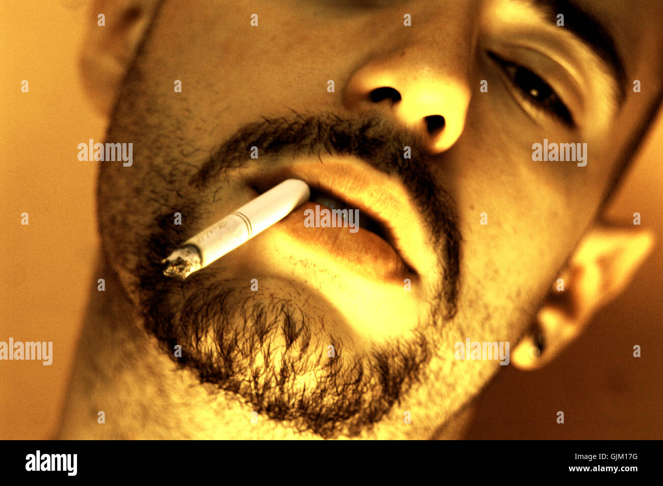 cigarette macro close-up Stock Photo - Alamy