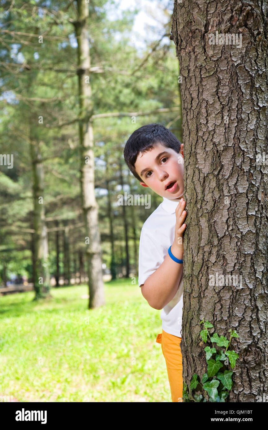 tree park hide Stock Photo - Alamy