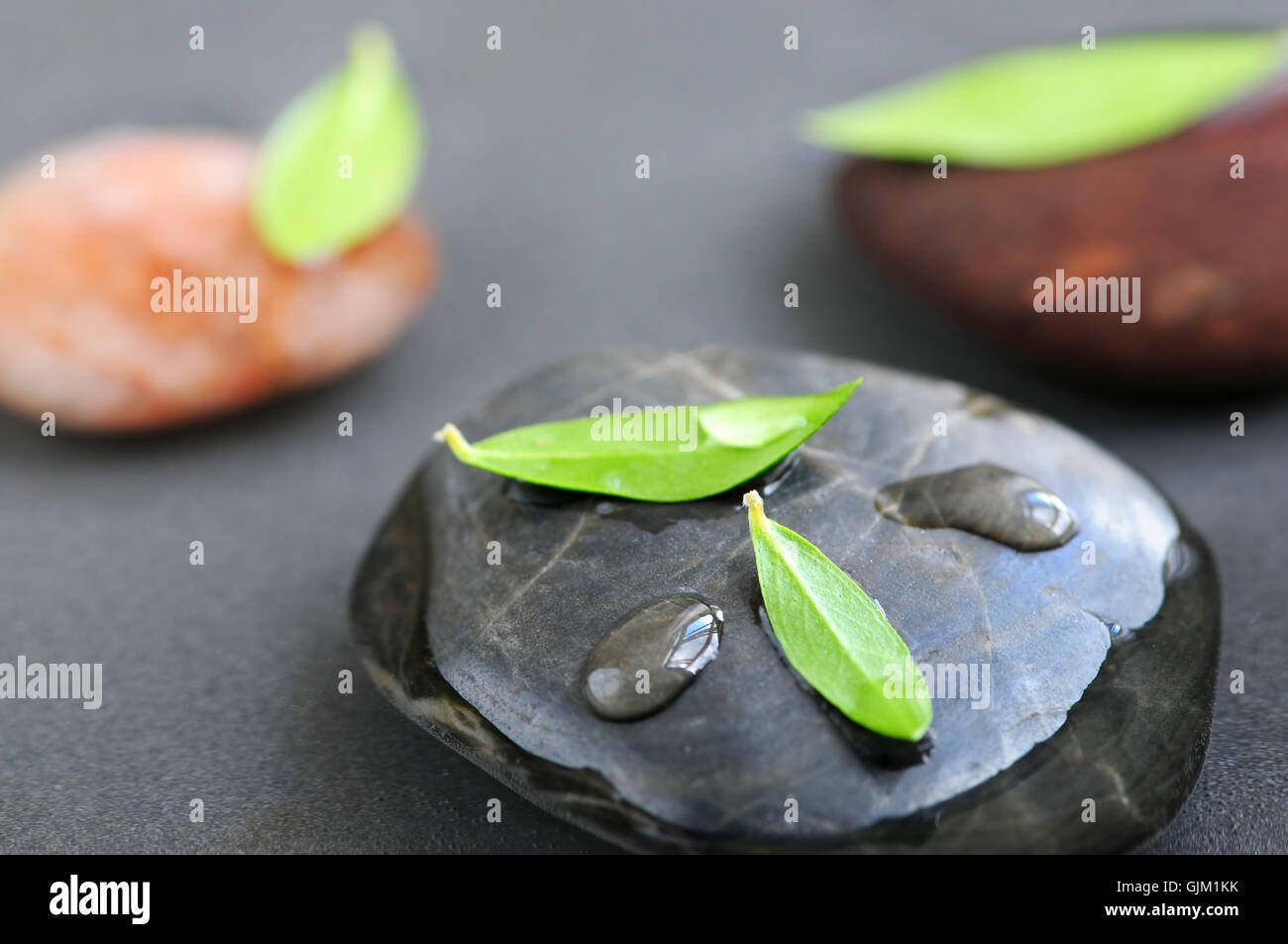 relaxation leaves rocks Stock Photo - Alamy