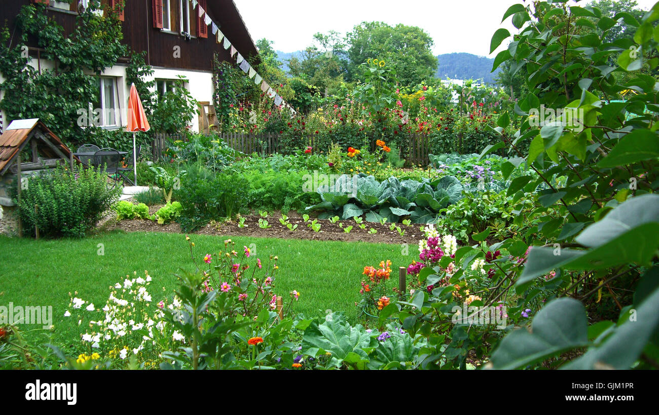 house building garden Stock Photo - Alamy