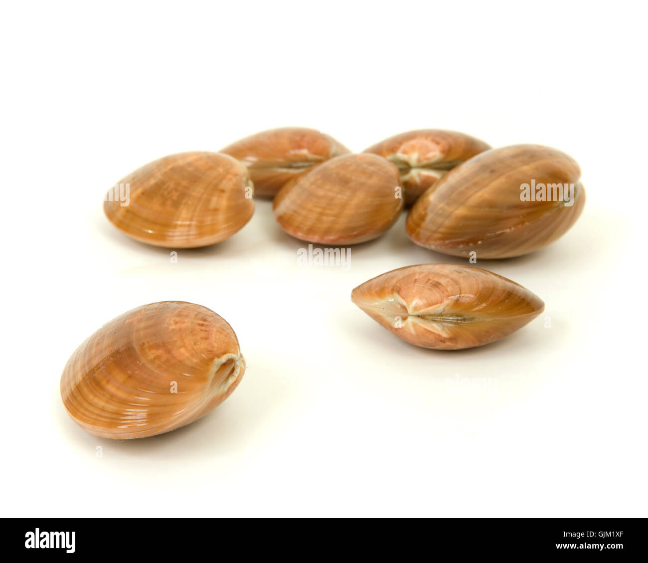 Cherrystones hi-res stock photography and images - Alamy
