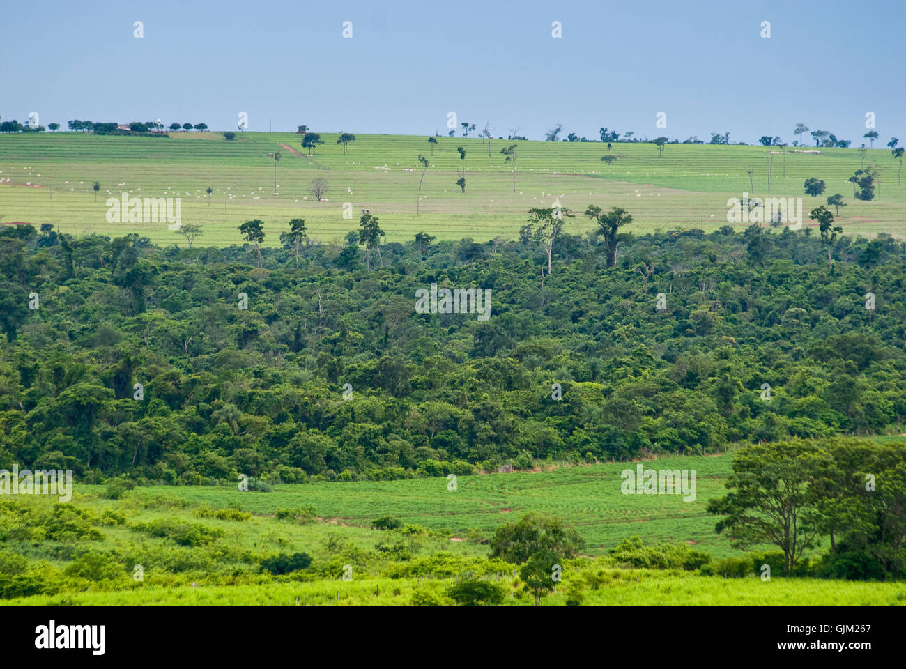 Habitat conversion hi-res stock photography and images - Alamy