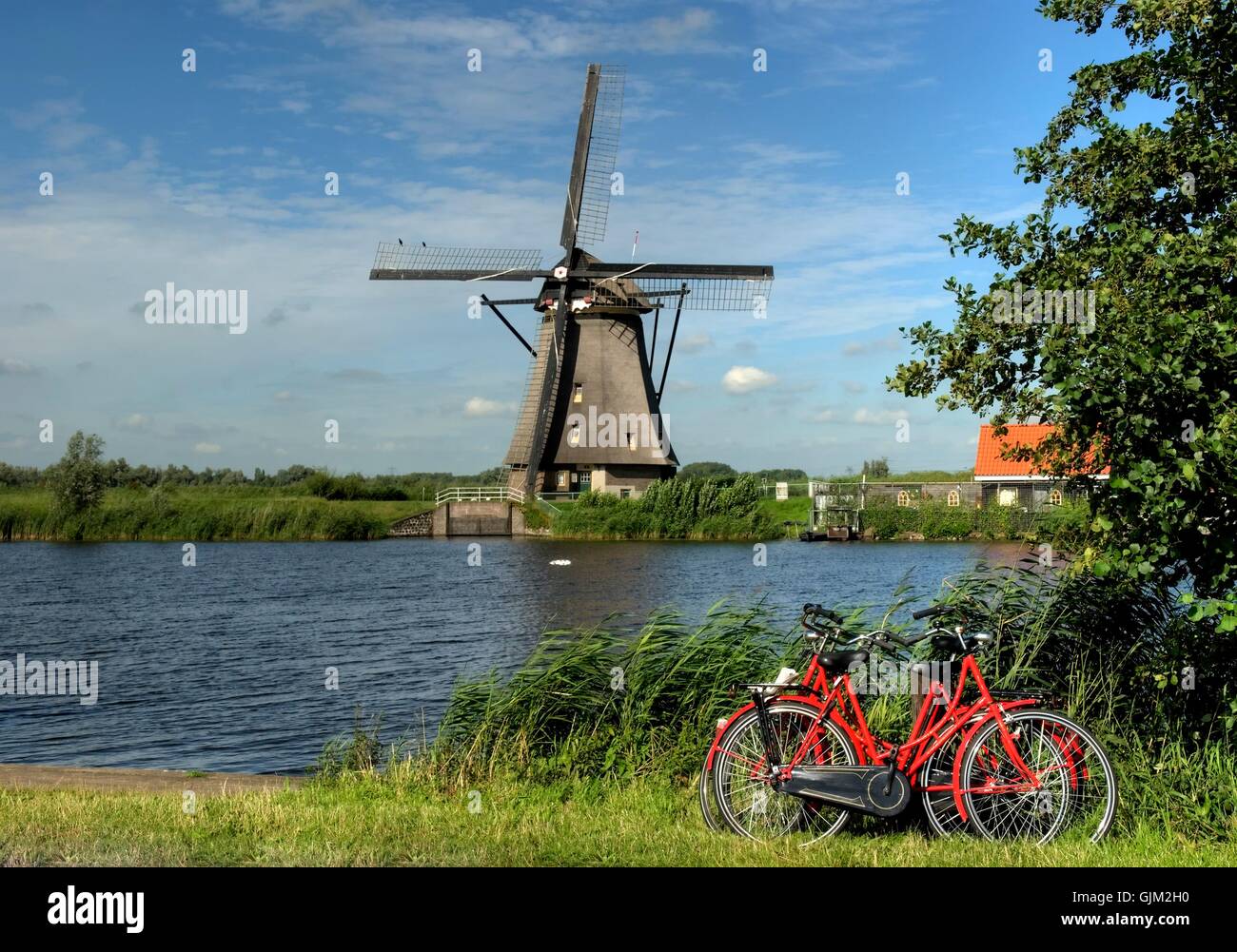 bicycle tour of kinderdijk Stock Photo - Alamy