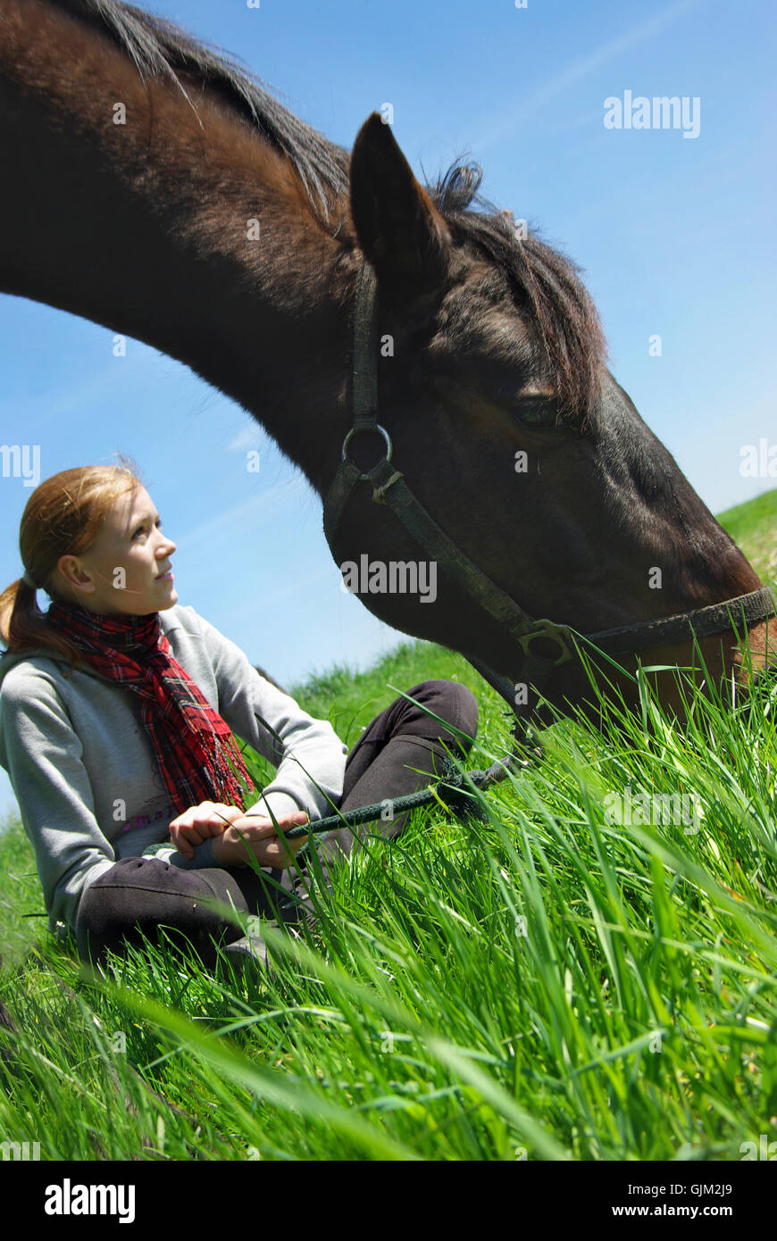 horse human human being Stock Photo - Alamy