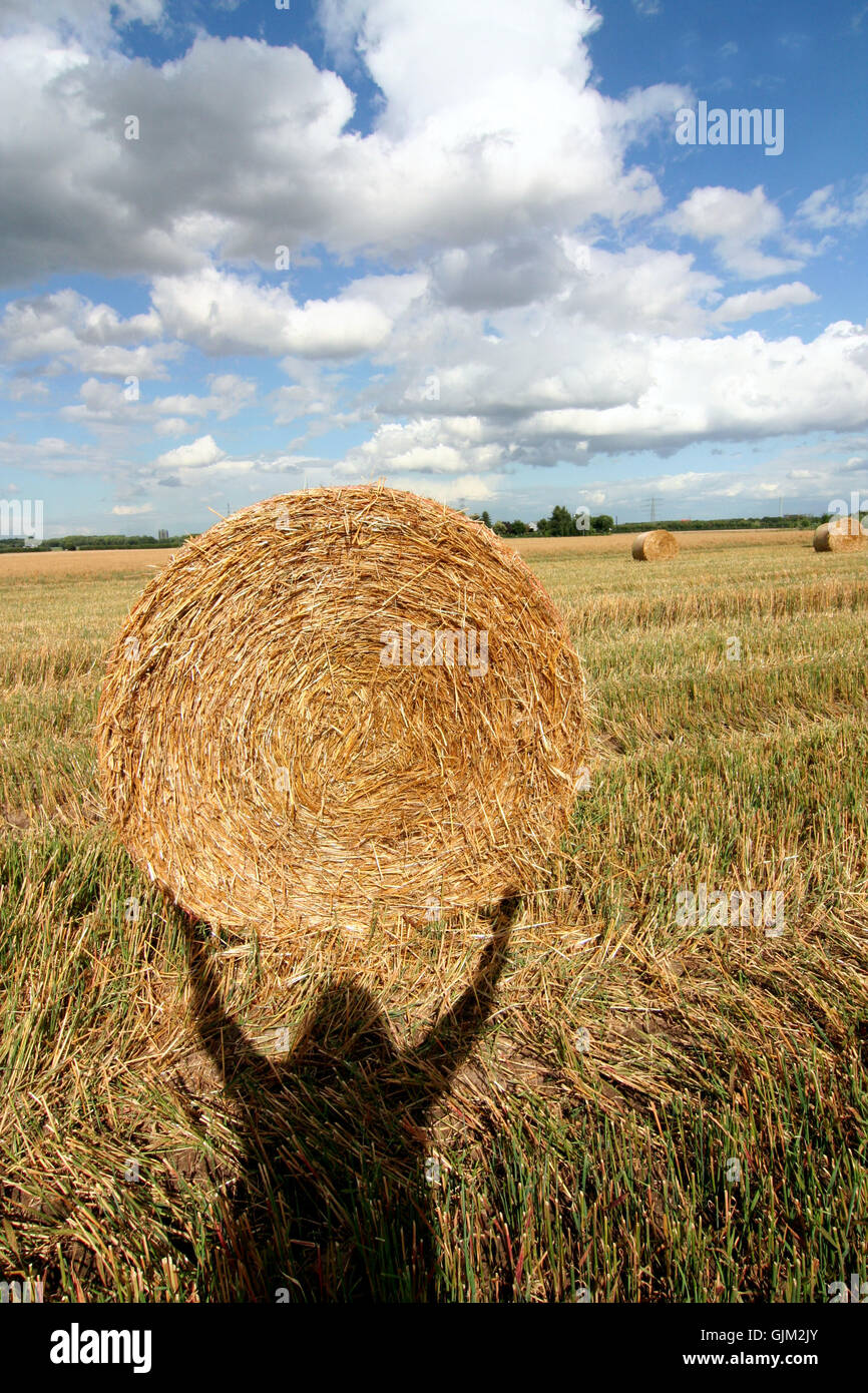 agriculture field acre Stock Photo - Alamy