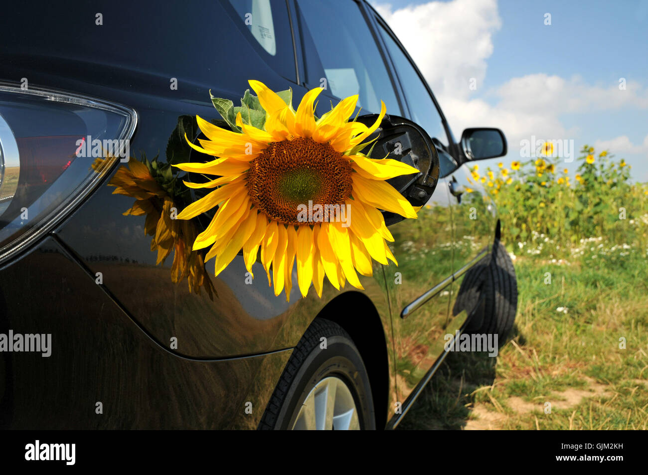 Future force hi-res stock photography and images - Alamy