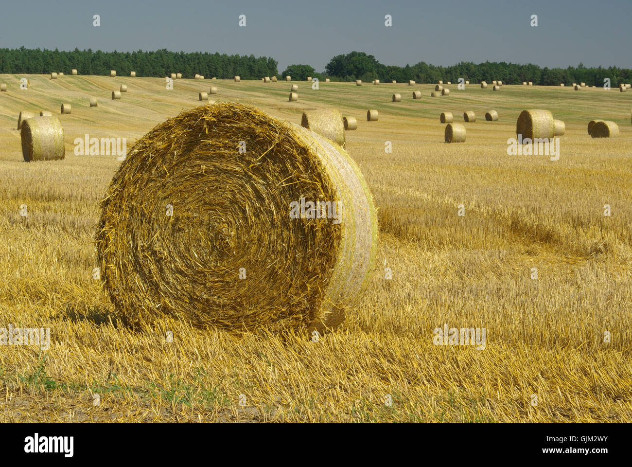 Straw ball hi-res stock photography and images - Alamy