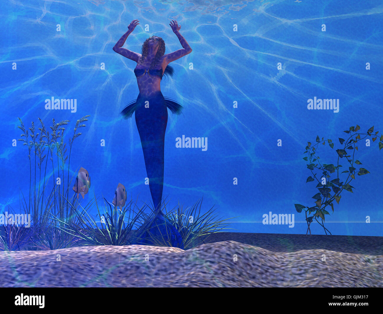 Siren reef hi-res stock photography and images - Alamy