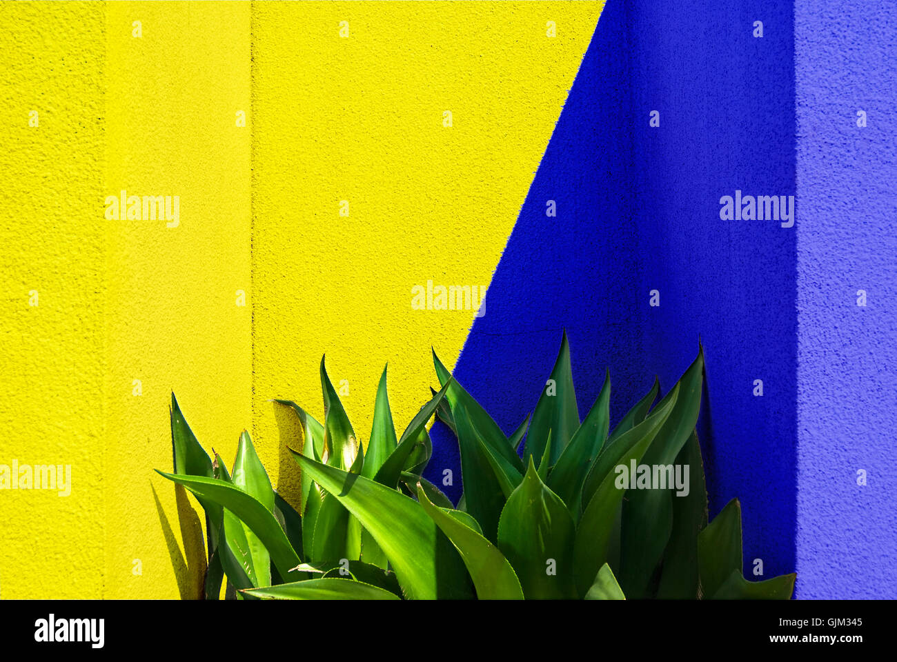 Mixing yellow and blue produce green Stock Photo - Alamy