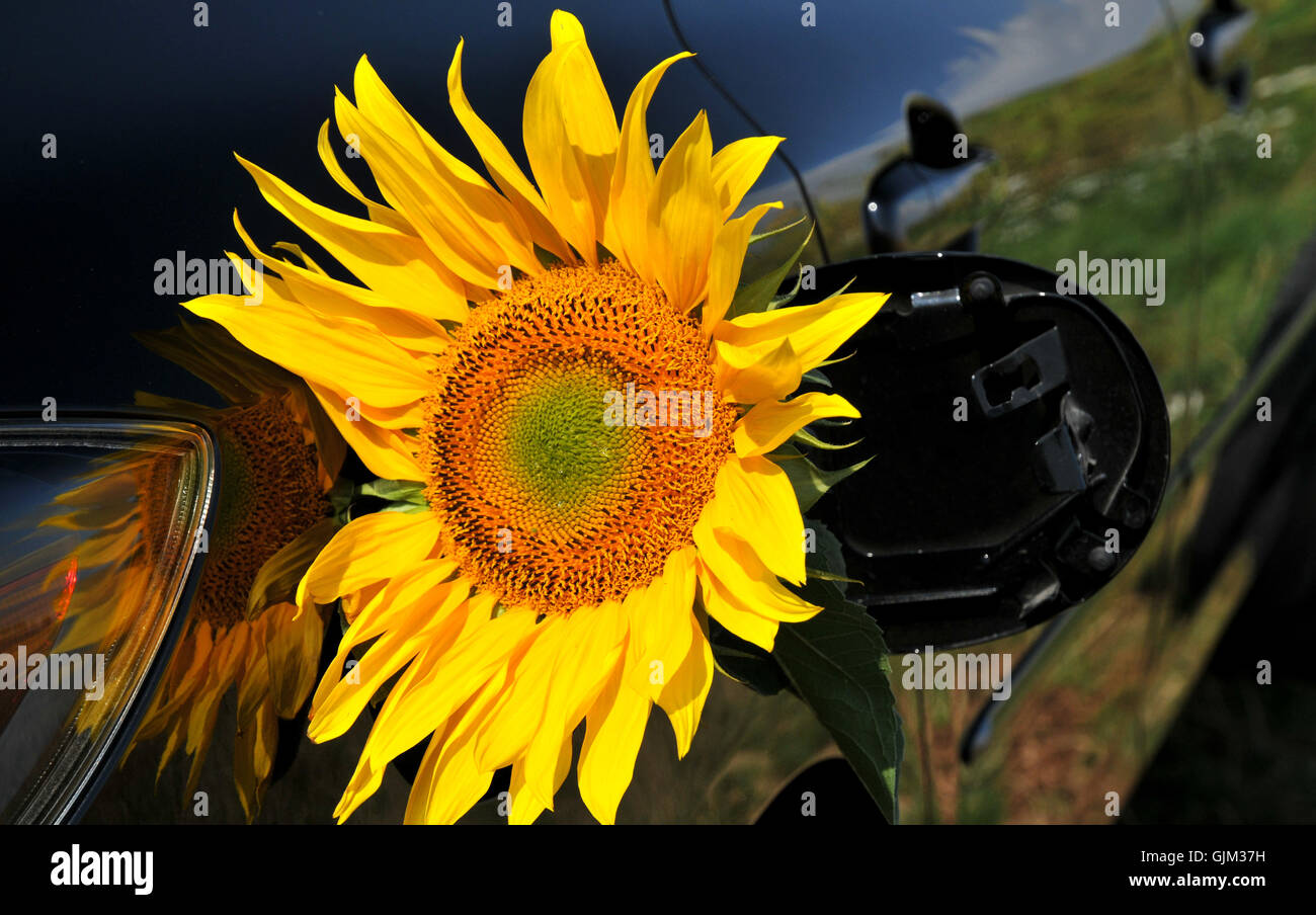 Biomass fuel car hi-res stock photography and images - Alamy