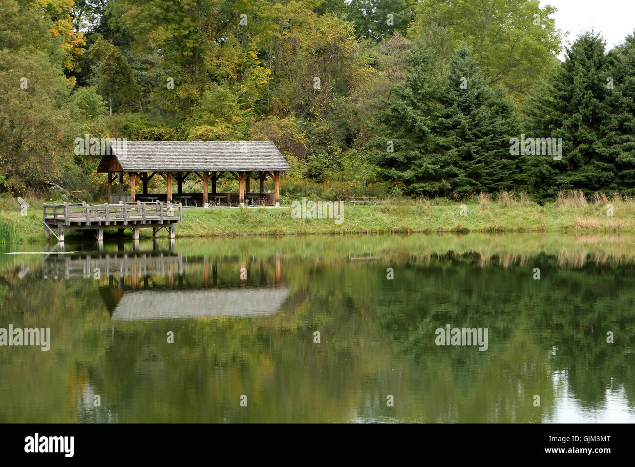 Local Park Pond Stock Photo - Alamy