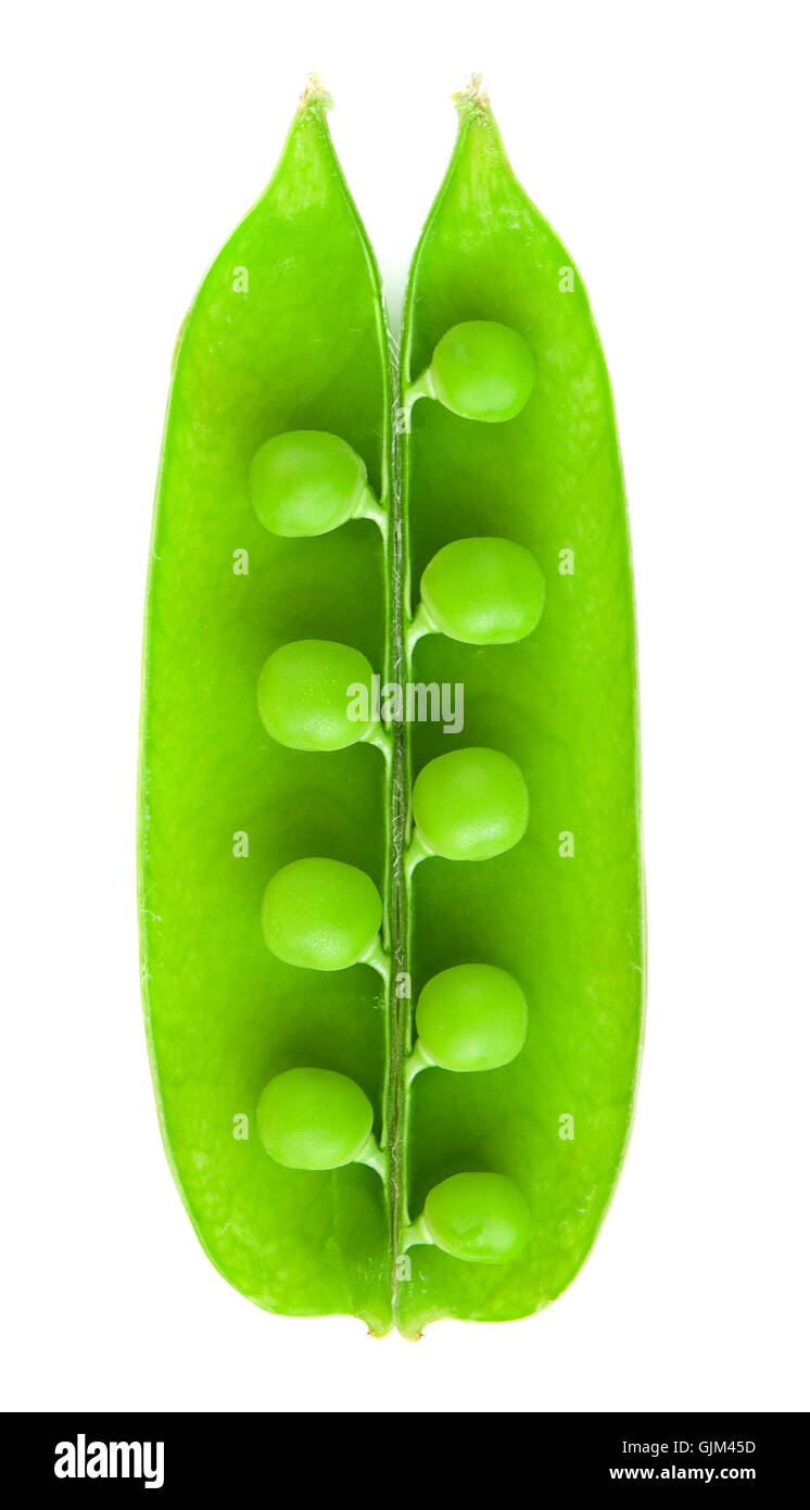 Pea agriculture Cut Out Stock Images & Pictures - Alamy