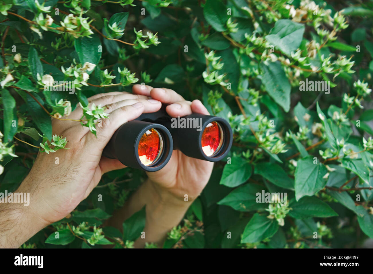 watching with binoculars Stock Photo - Alamy
