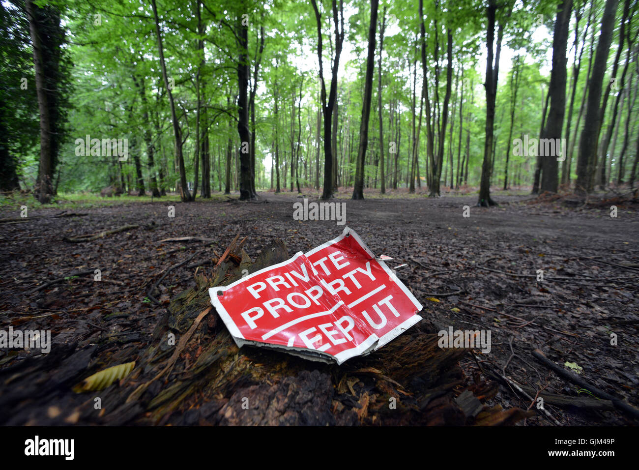 damaged keep out sign in woodland Stock Photo - Alamy
