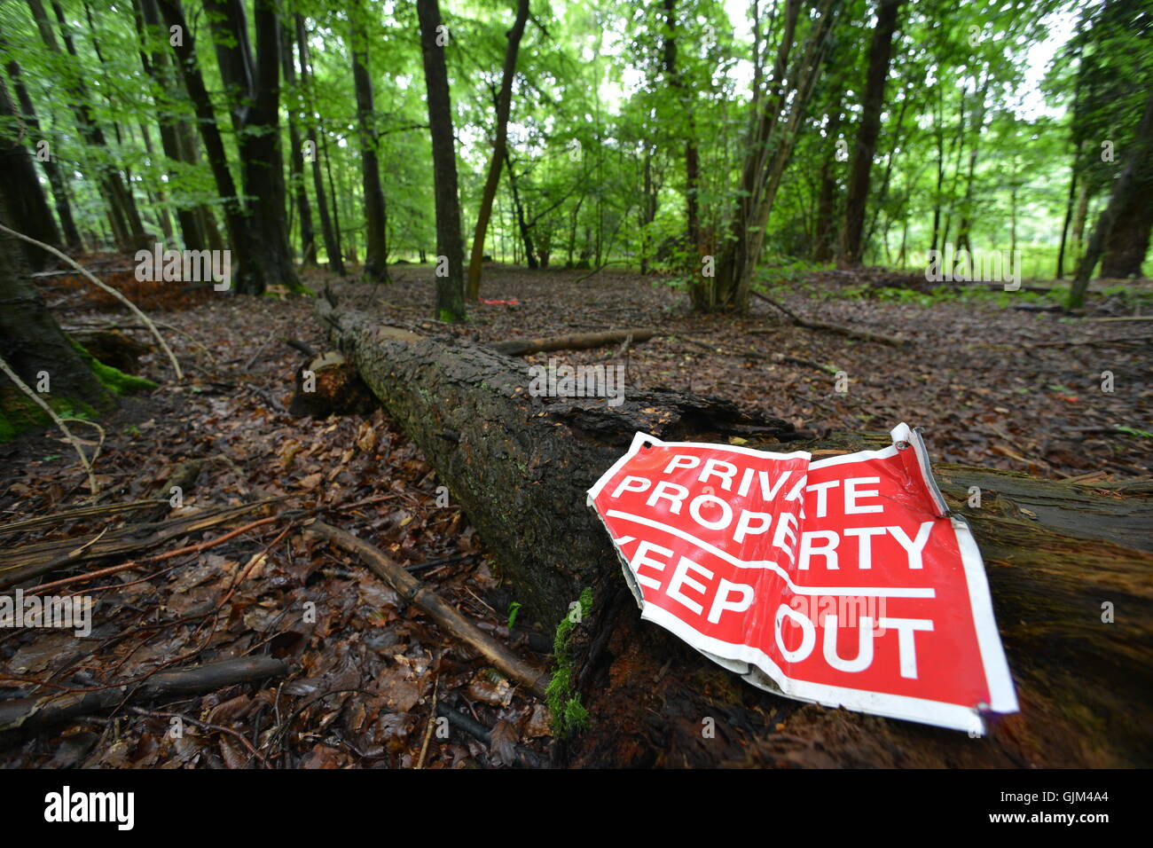 damaged keep out sign in woodland Stock Photo - Alamy