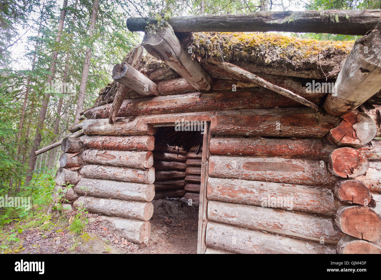 Old traditional log cabin rotting in Yukon taiga Stock Photo - Alamy