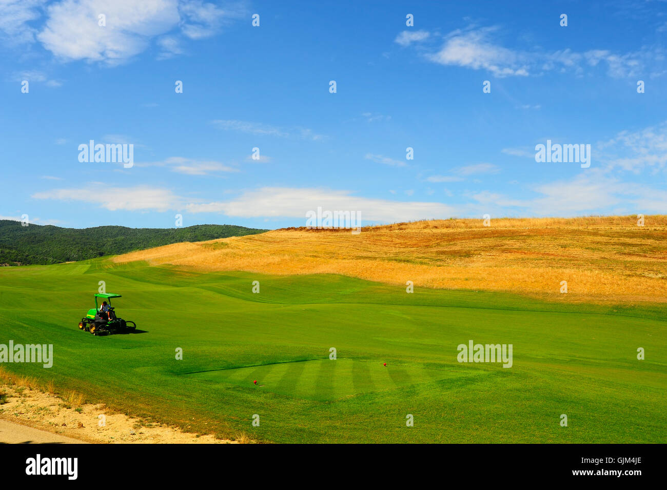 Trimming course hi-res stock photography and images - Alamy
