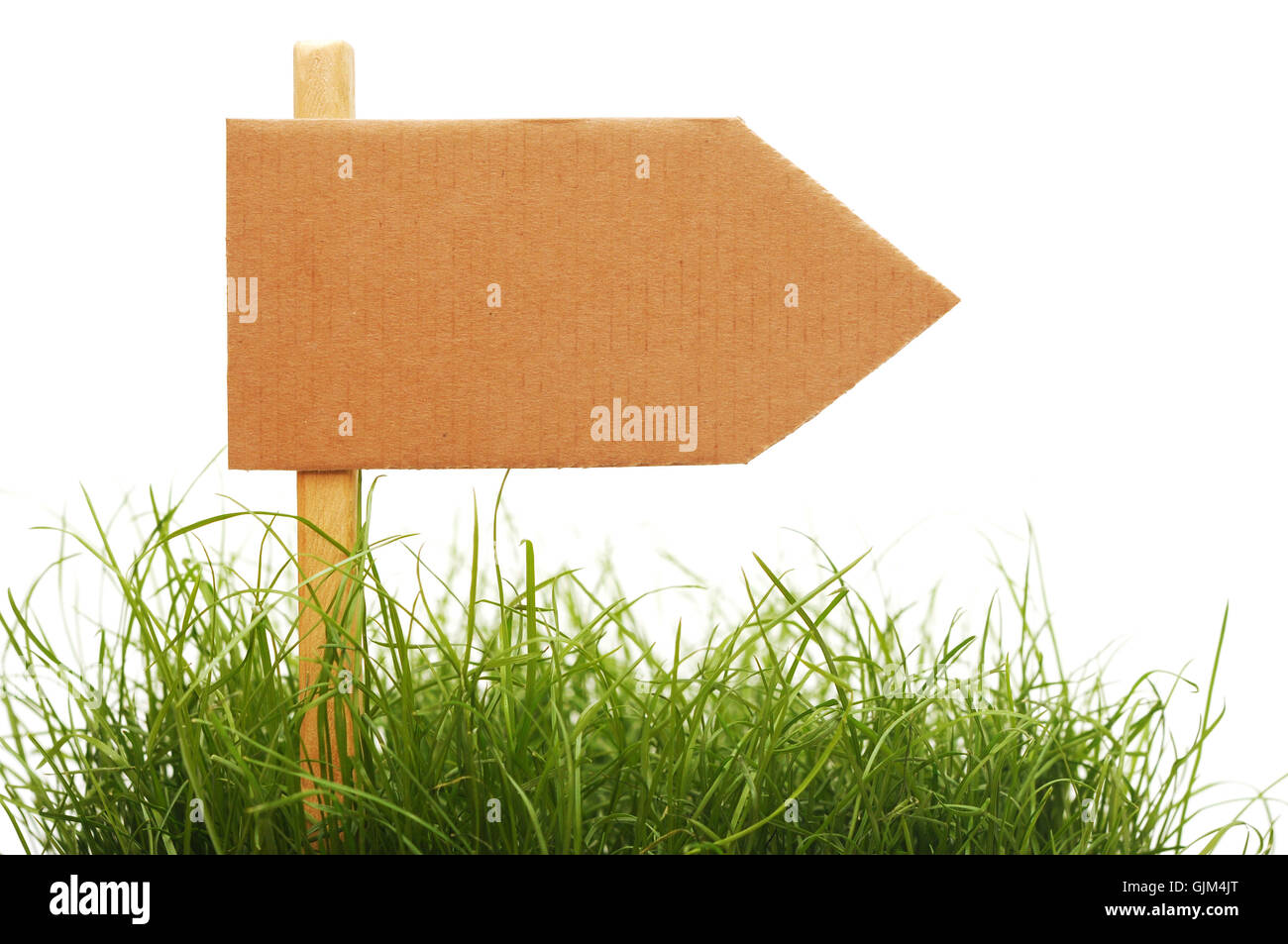 cardboard sign with grass isolated on a white background Stock Photo ...