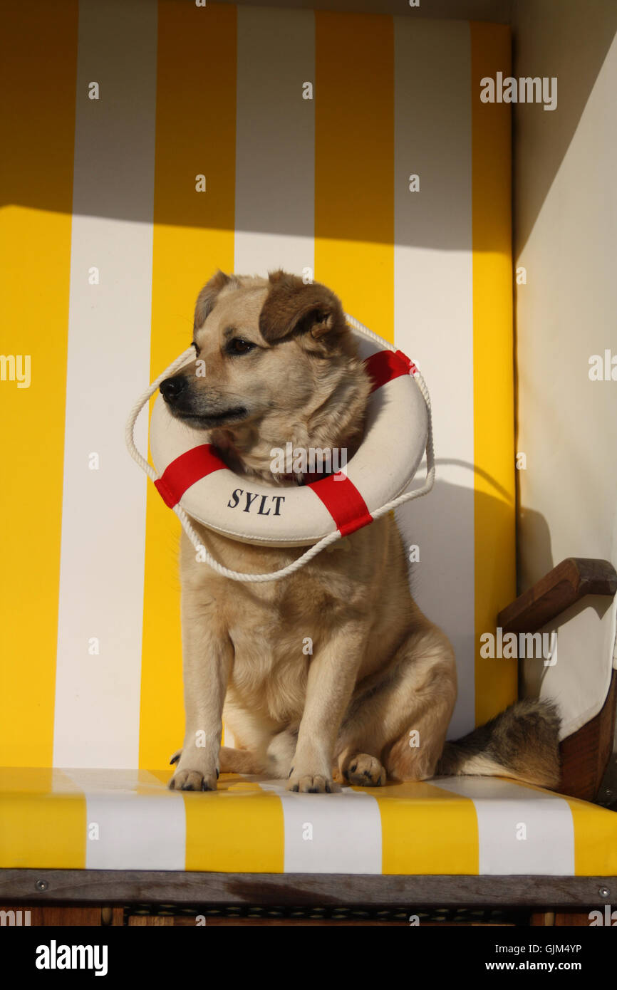 Finally vacation hi-res stock photography and images - Alamy