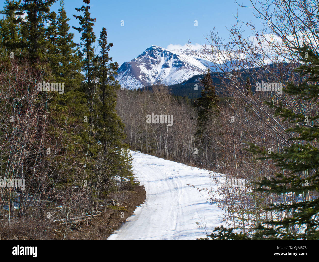 Well used winter trail in Yukon mountains, Canada Stock Photo - Alamy