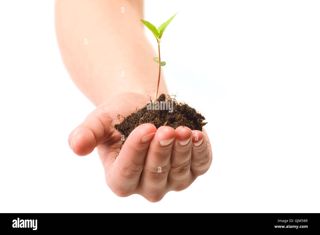 Farming plan hi-res stock photography and images - Alamy