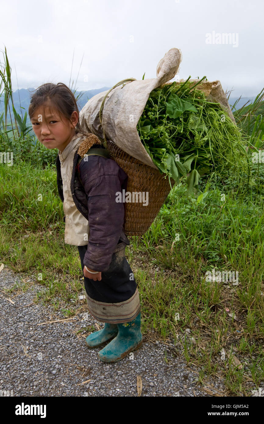 Asia transport hi-res stock photography and images - Alamy