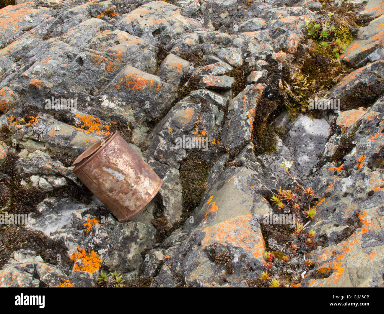 Surface can hi-res stock photography and images - Alamy