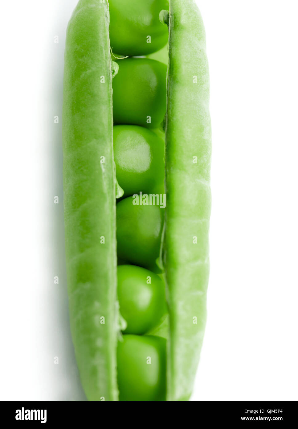 Vegetable seed pod hi-res stock photography and images - Alamy