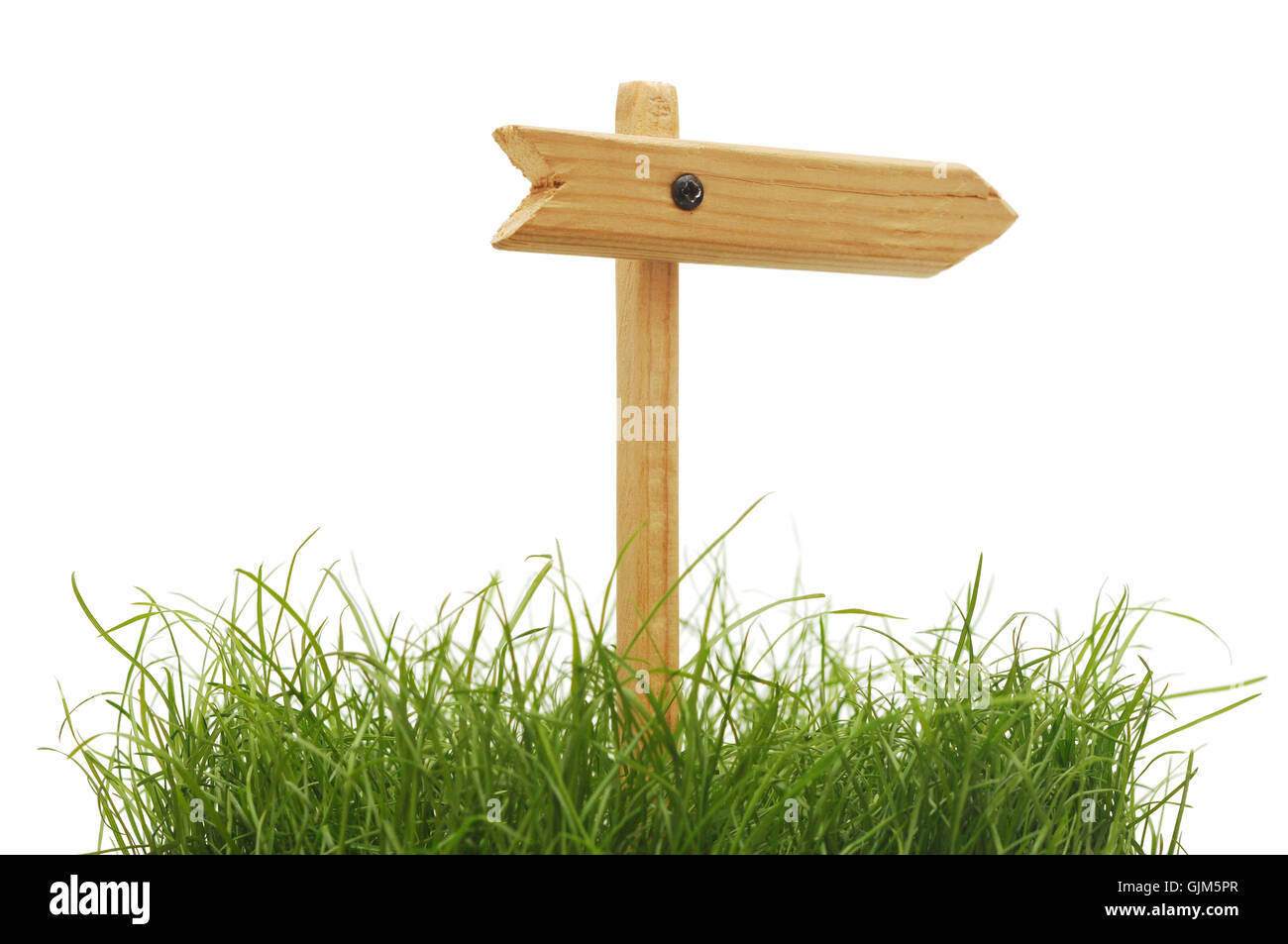 wood sign with grass isolated on a white background Stock Photo - Alamy