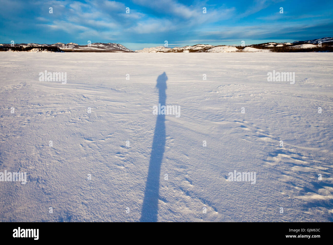 Long mid-winter shadow Stock Photo - Alamy