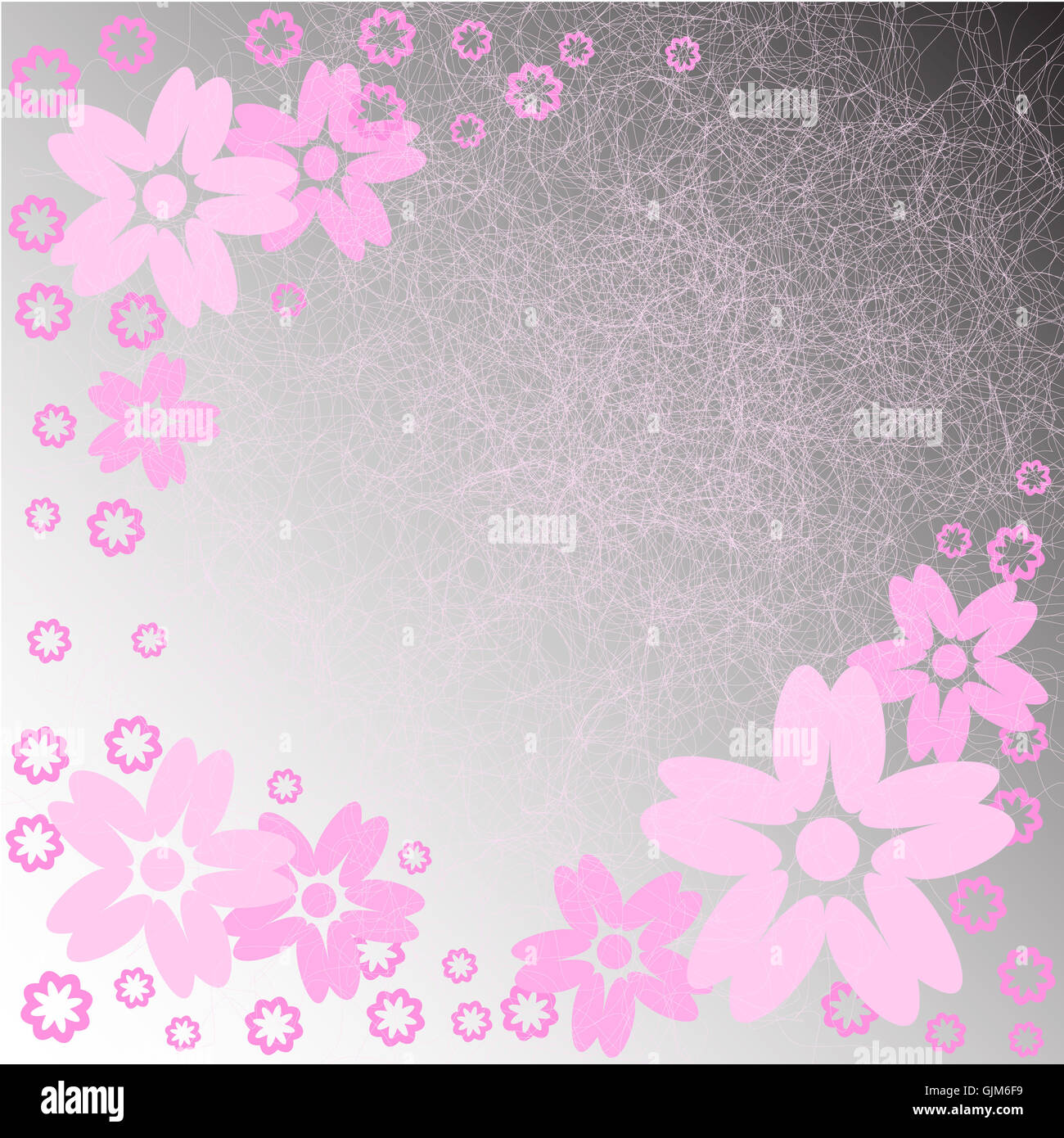 pink flowers on a gray background Stock Photo - Alamy