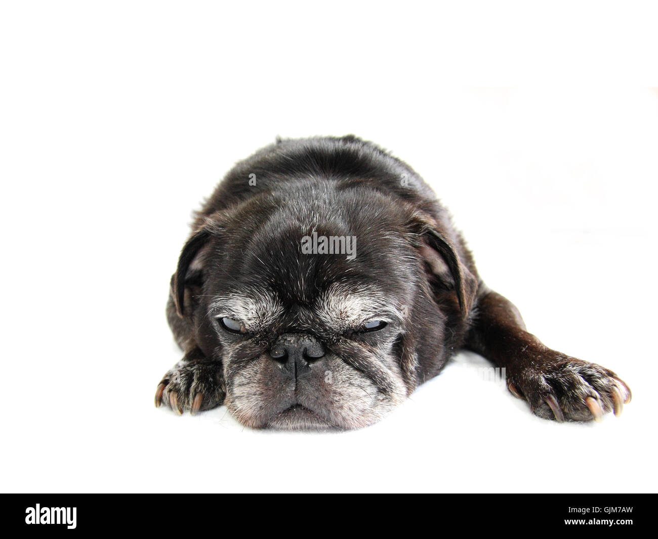 Sad senior citizen Cut Out Stock Images & Pictures - Alamy