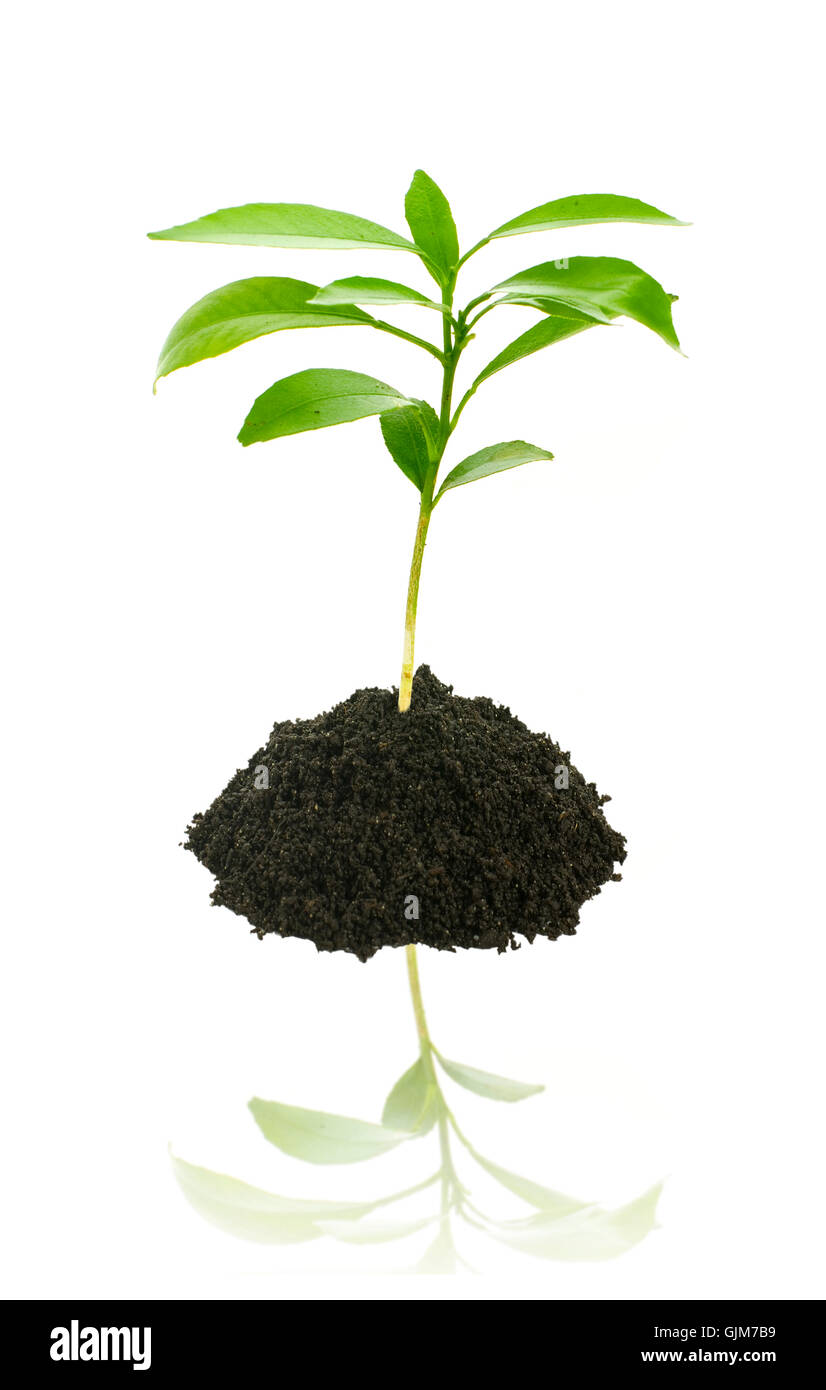 European existence hi-res stock photography and images - Alamy