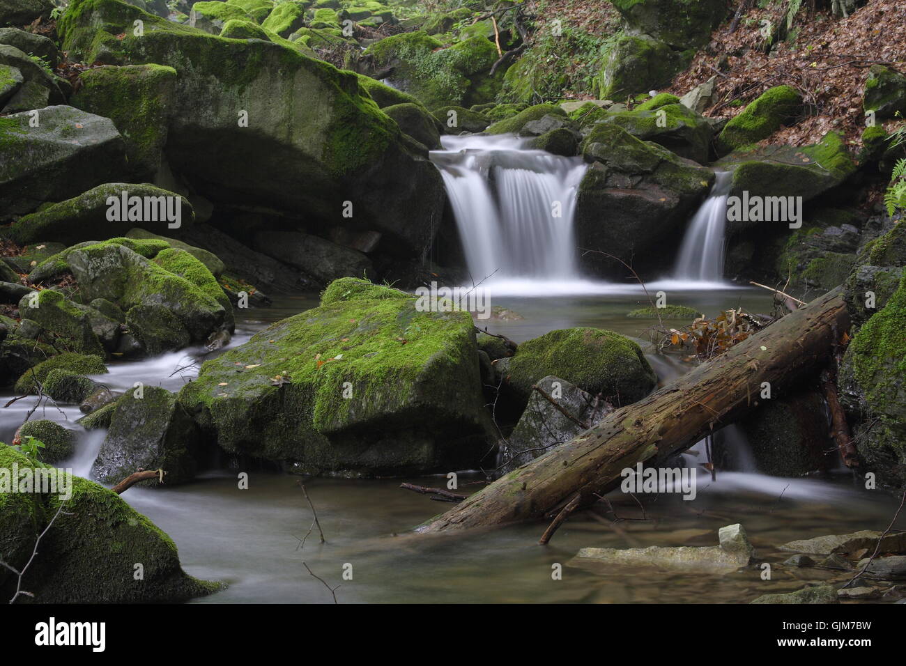 waterfall creek cascade Stock Photo - Alamy