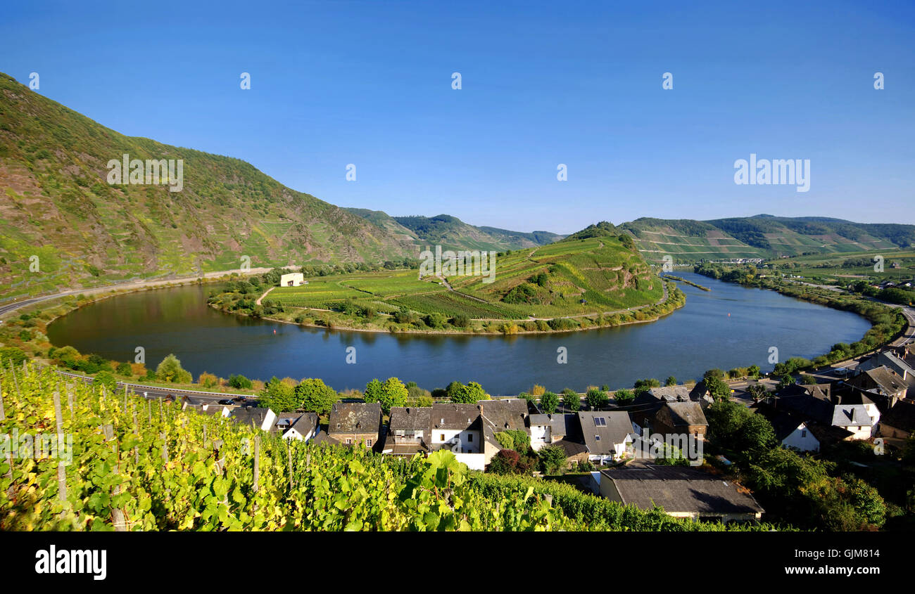Mosel summer hi-res stock photography and images - Alamy