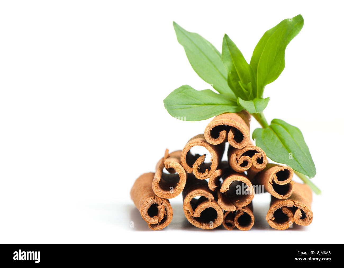 Cinnamon and green leaves Stock Photo - Alamy
