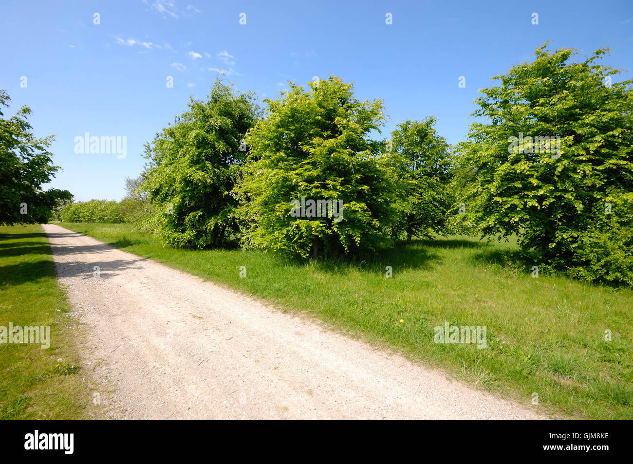 Outback pathway hi-res stock photography and images - Alamy