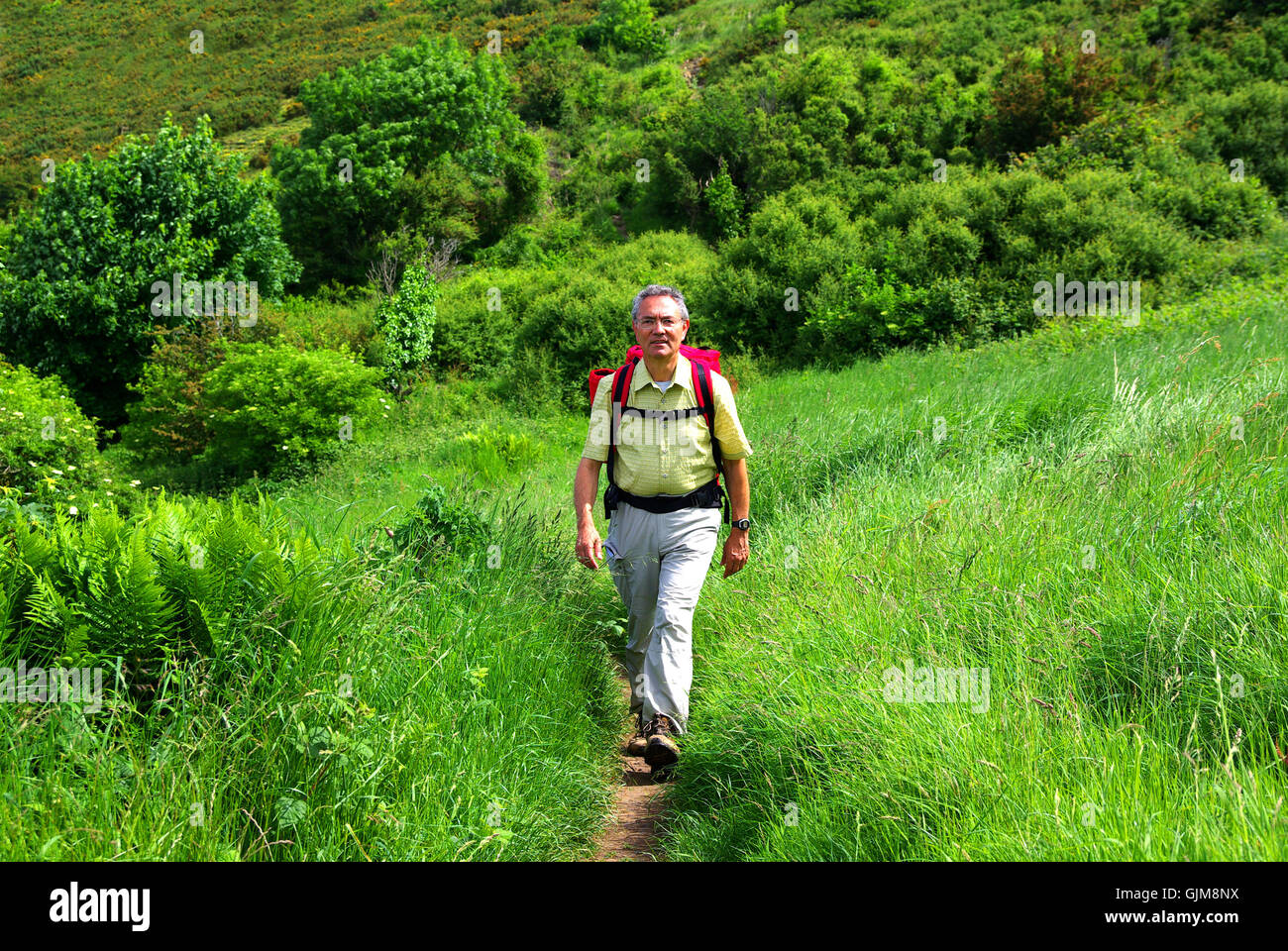 walk go going Stock Photo - Alamy