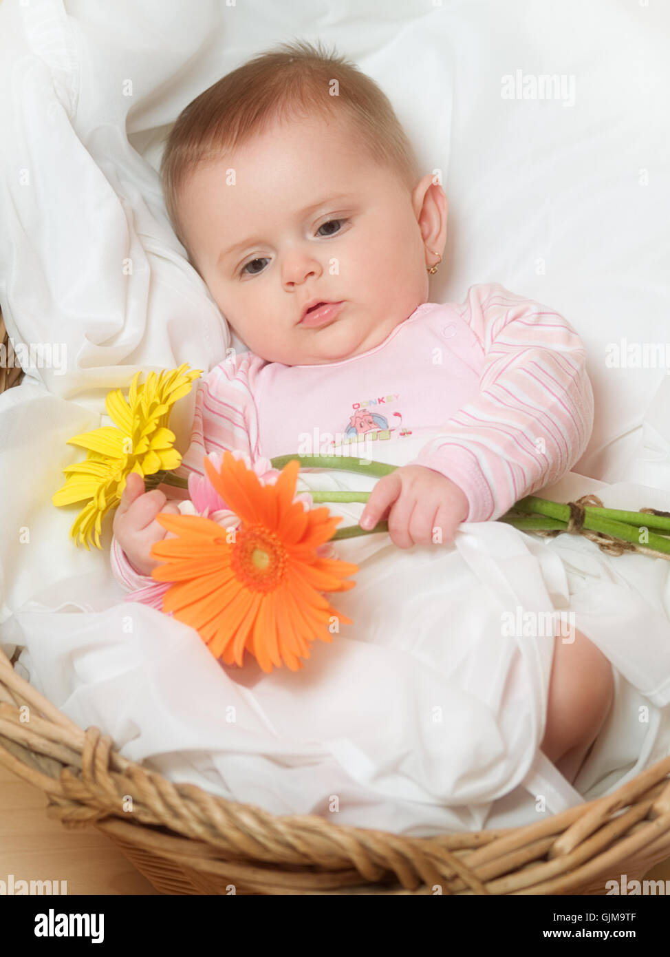 teeth friendly kind Stock Photo - Alamy