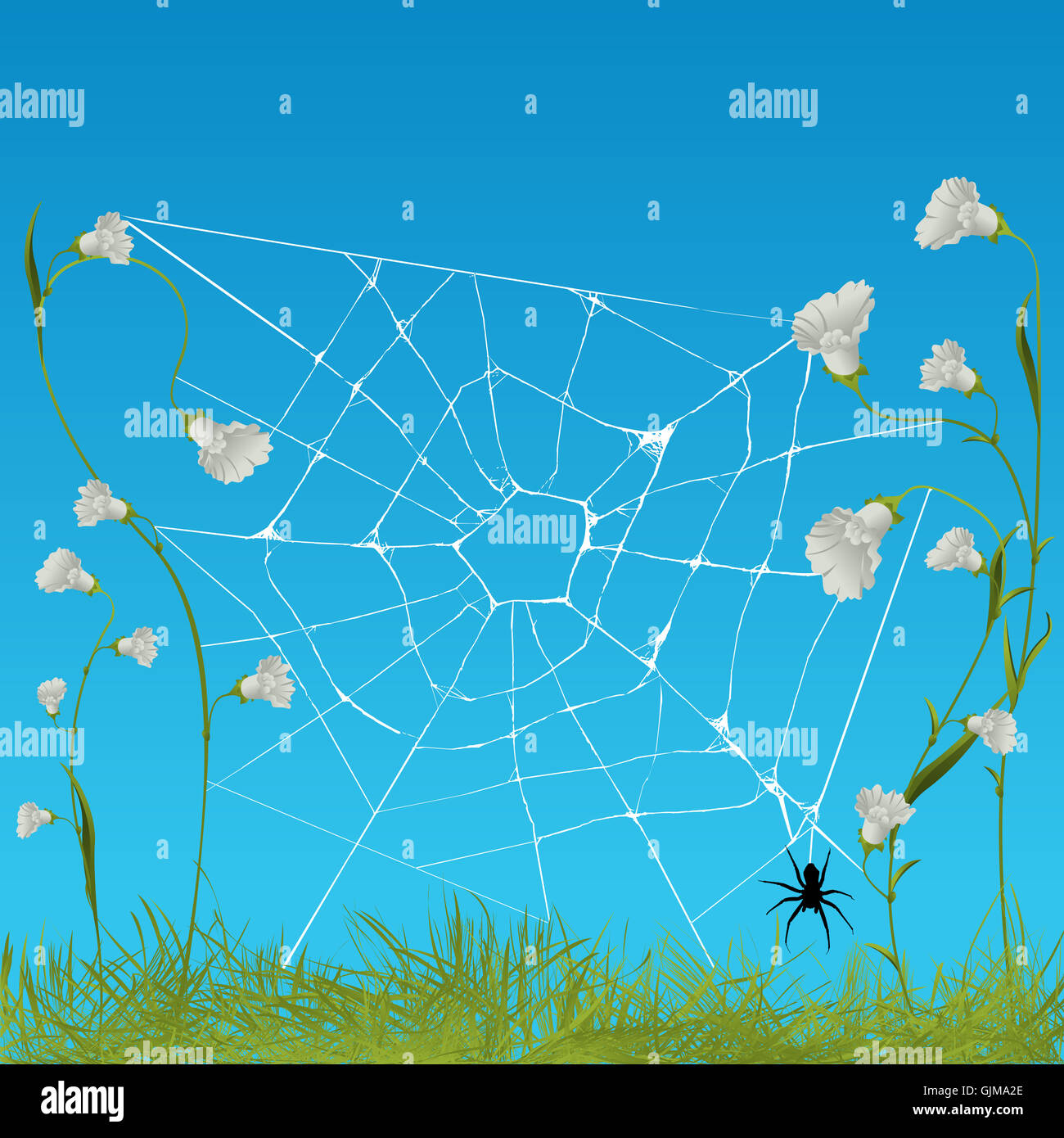 Ornate spider design hi-res stock photography and images - Alamy