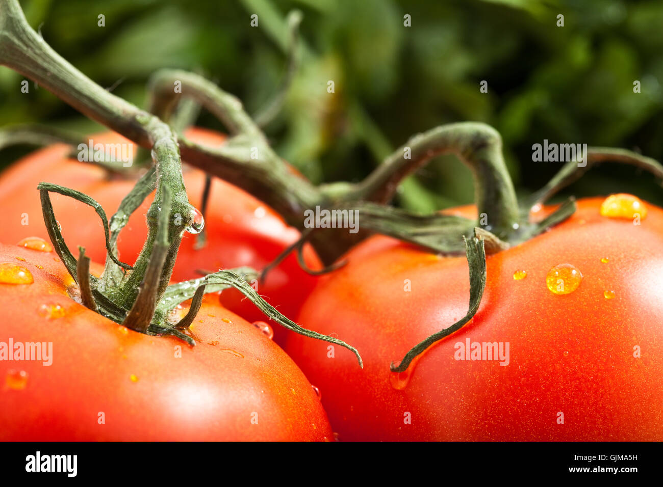Tomato with parsely Stock Photo - Alamy