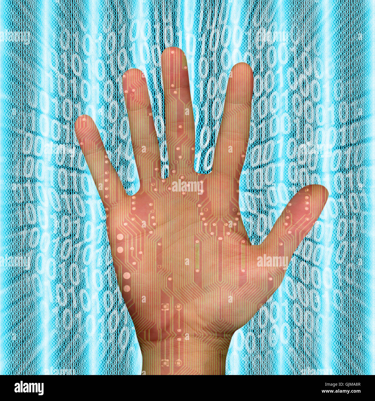 Hand anatomy hi hi-res stock photography and images - Alamy