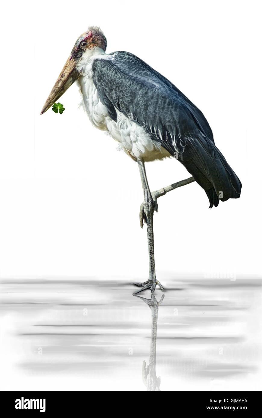 But im not around to see Cut Out Stock Images & Pictures - Alamy