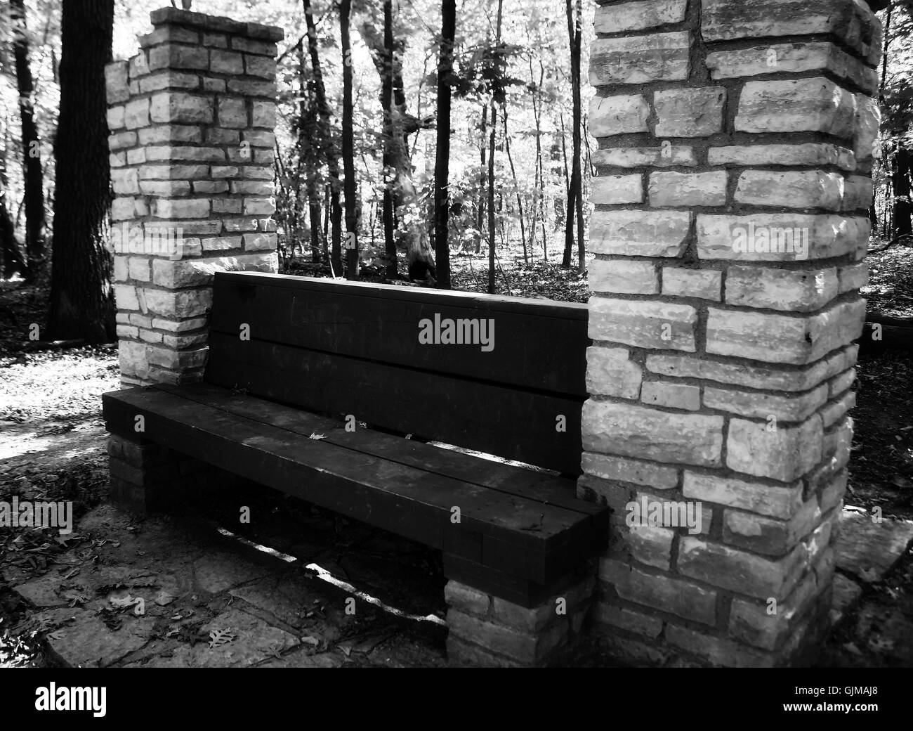 Bench leaves Black and White Stock Photos & Images - Alamy