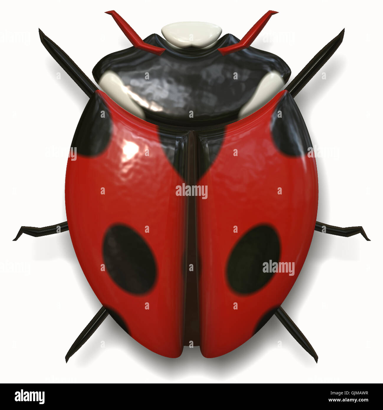 Lady cow Cut Out Stock Images & Pictures - Alamy