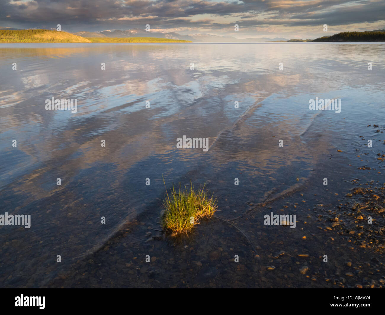 Dramatic Sky Mirrored on Lake Laberge Yukon Canada Stock Photo - Alamy