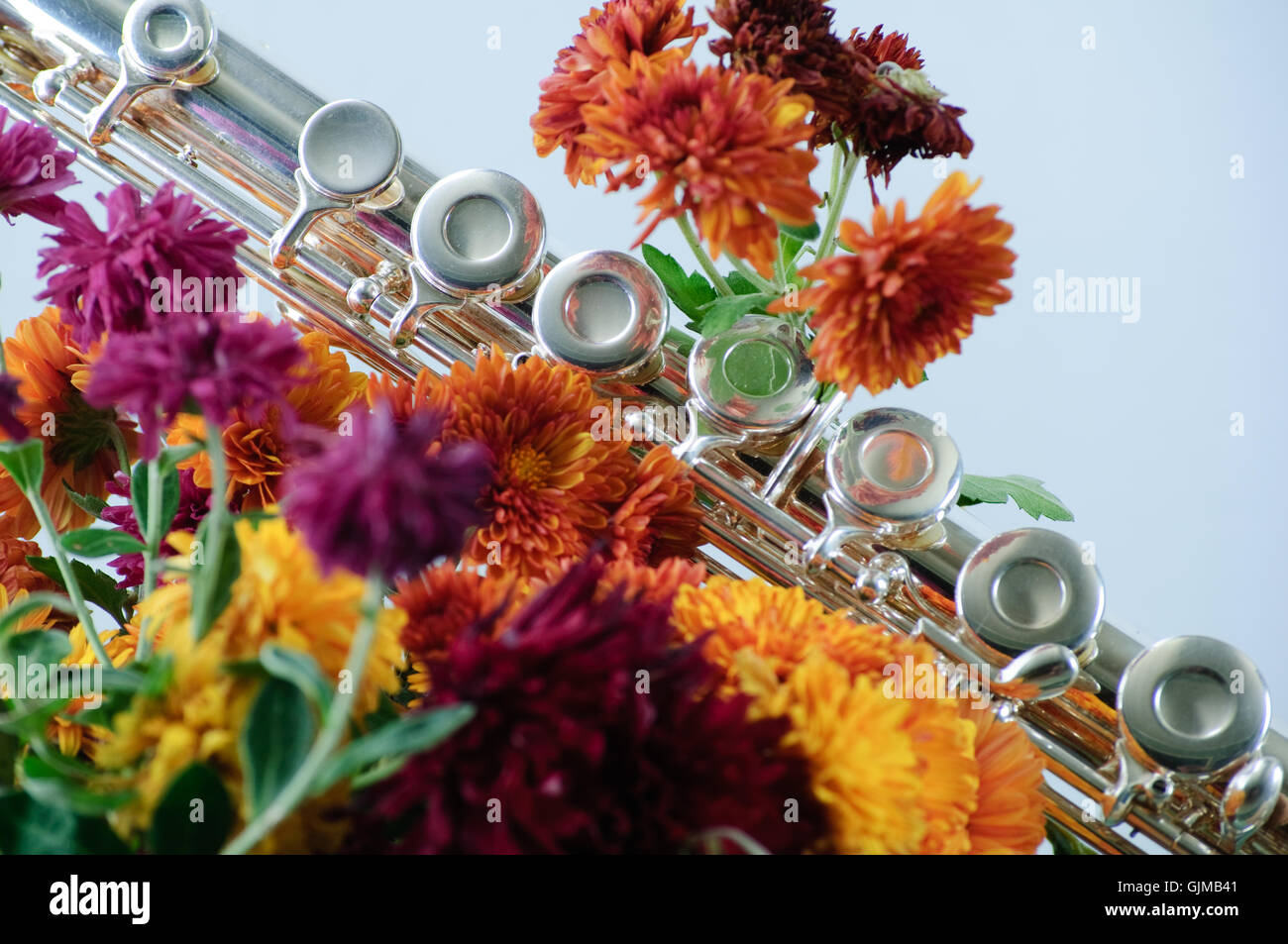 Flute with flowers and white background Stock Photo - Alamy