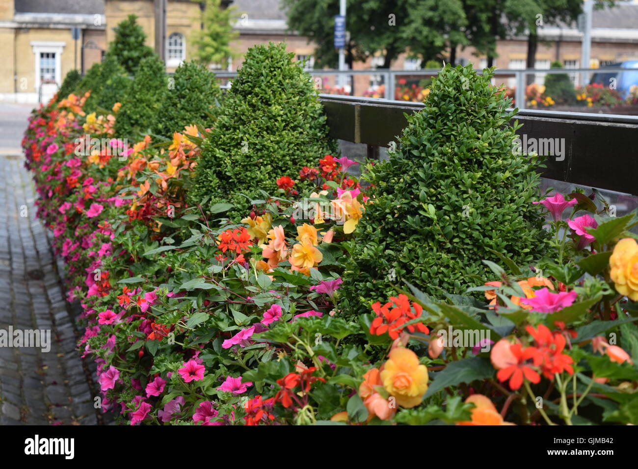Beautifully Long Flower Bed Stock Photo - Alamy